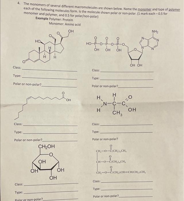 Solved 4. The monomers of several different macromolecules | Chegg.com