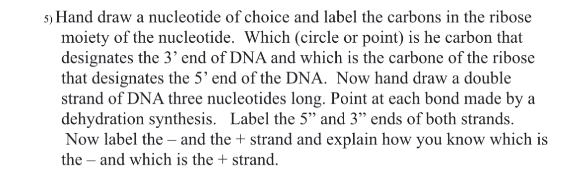 Solved Hand draw a nucleotide of choice and label the | Chegg.com