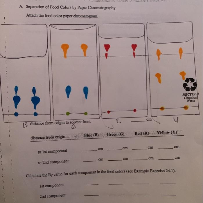 A. Separation of Food Colors by Paper Chromatography | Chegg.com