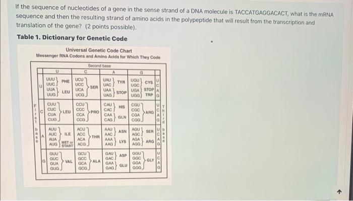 [Solved]: If the sequence of nucleotides of a gene in the s