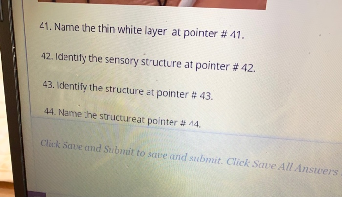 Solved 50 Click Save and Submit to save and cul 49. Name | Chegg.com