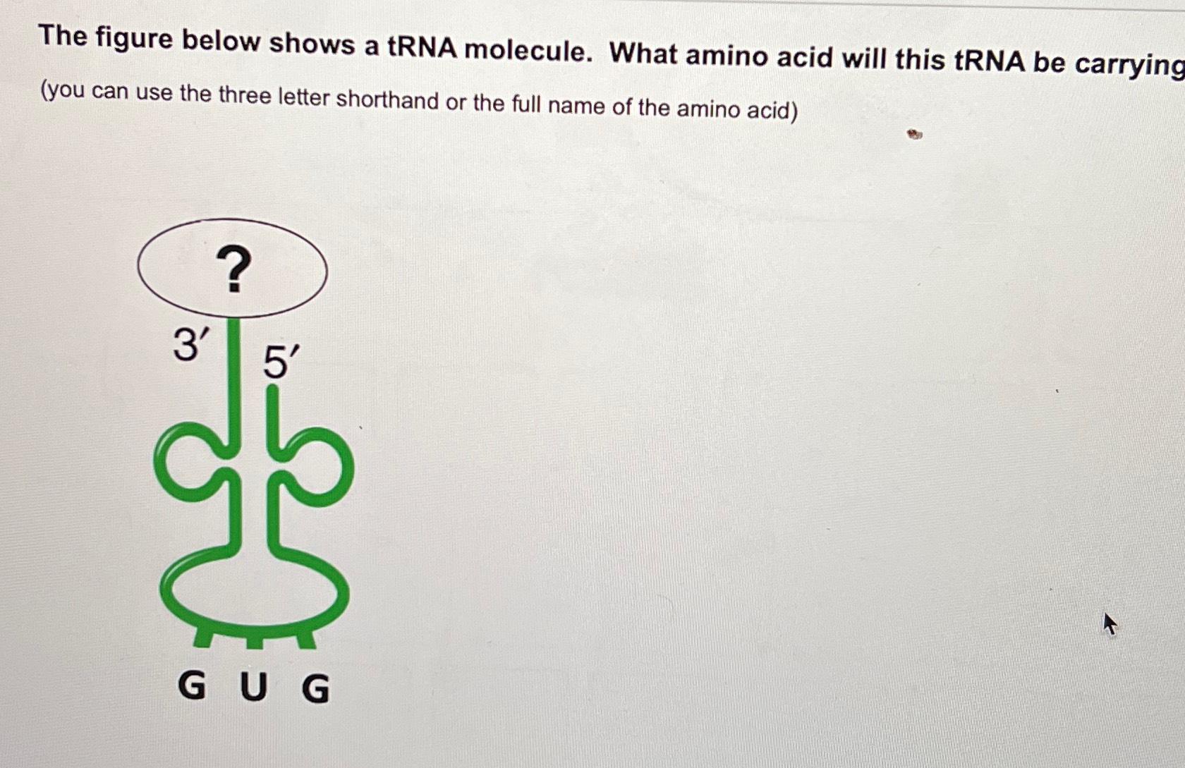 Solved The figure below shows a tRNA molecule. What amino | Chegg.com