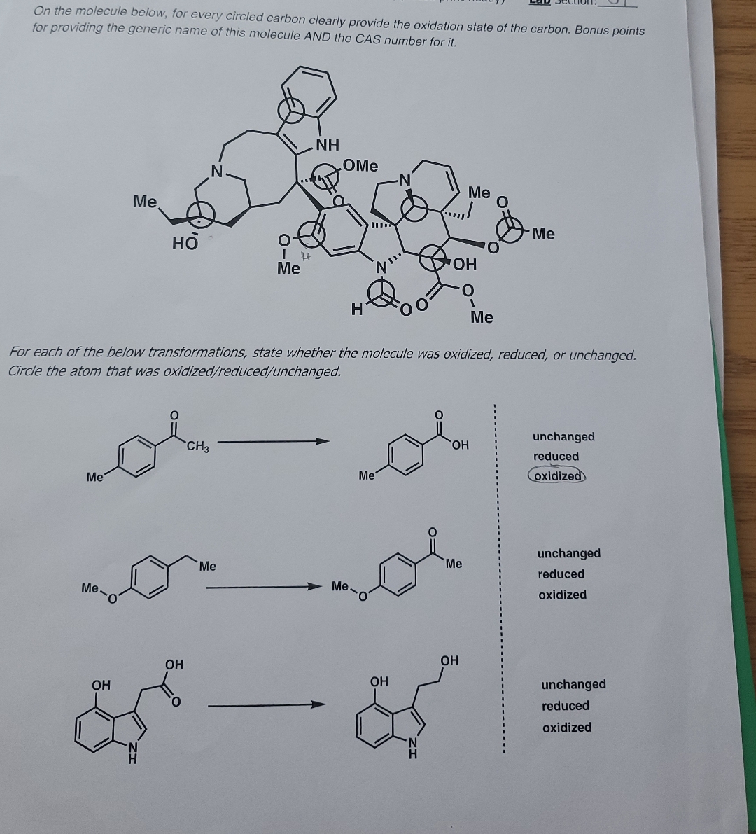 Solved On the molecule below, for every circled carbon | Chegg.com