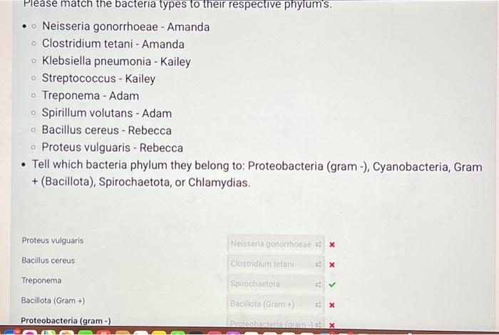 Solved Please match the Dacteria types to their respective | Chegg.com