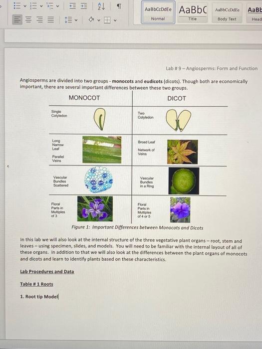 Solved Lab # 9-Angiosperms: Form and Function Lab #9 - | Chegg.com