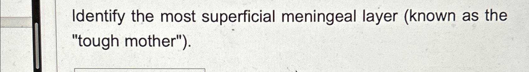 Solved Identify the most superficial meningeal layer (known | Chegg.com