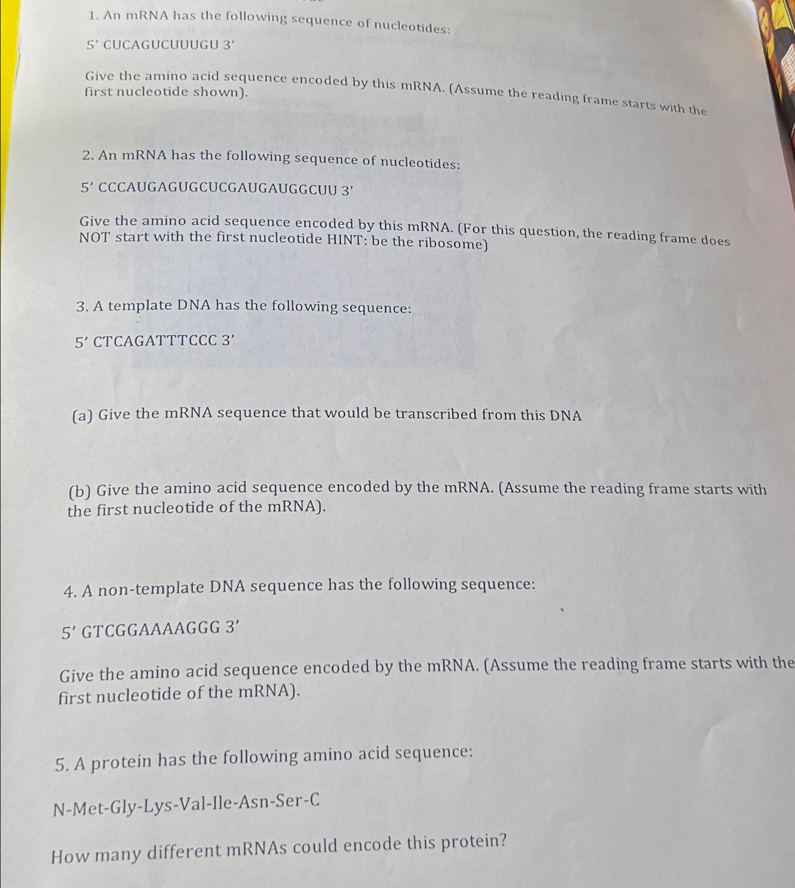 An mRNA has the following sequence of nucleotides:5' | Chegg.com