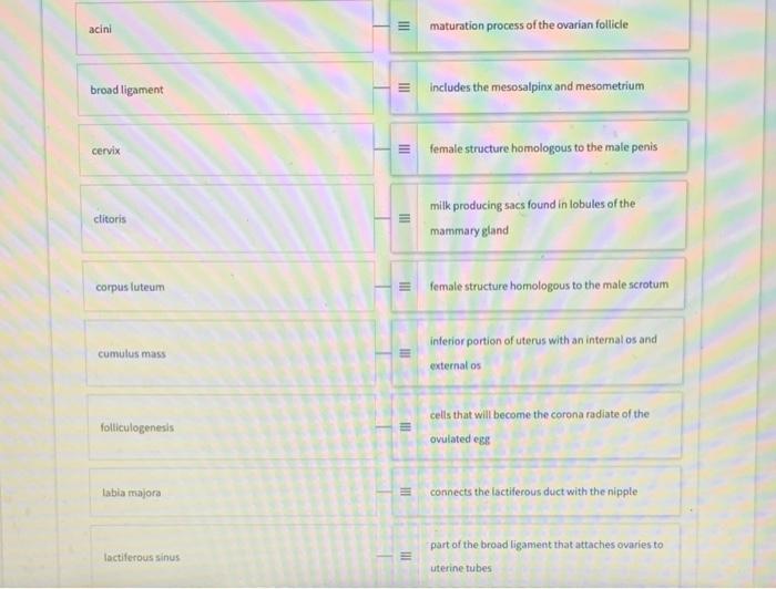 Solved Female Reproductive system key word matching. Match | Chegg.com