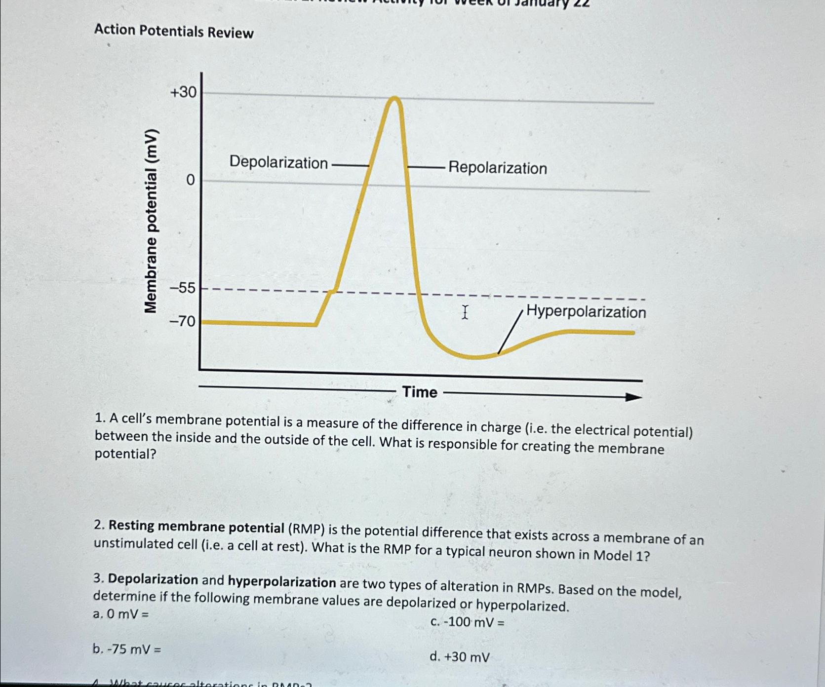 Solved Action Potentials ReviewA cell's membrane potential | Chegg.com