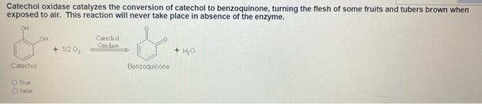 Solved Catechol oxidase catalyzes the conversion of catechol | Chegg.com