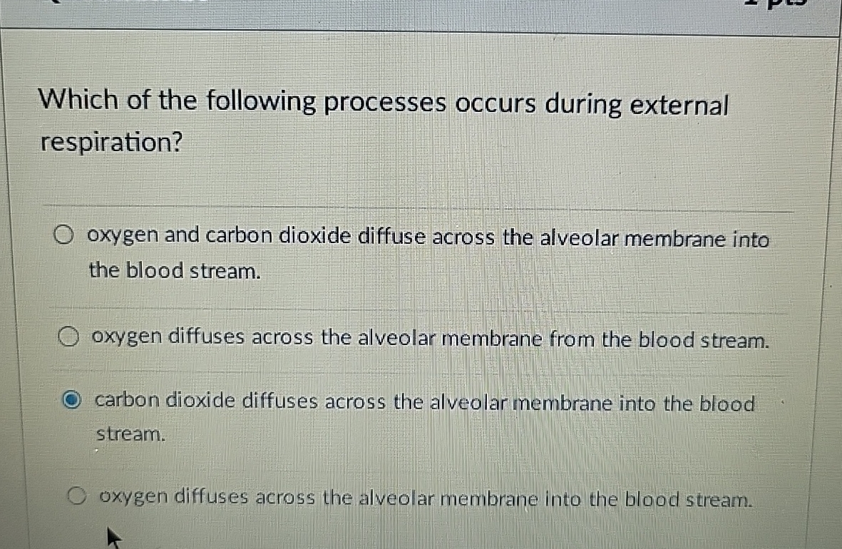 Solved Which of the following processes occurs during | Chegg.com