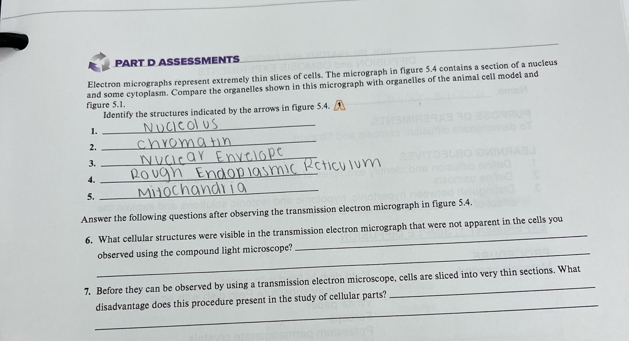 Solved PART D ASSESSMENTSElectron micrographs represent | Chegg.com