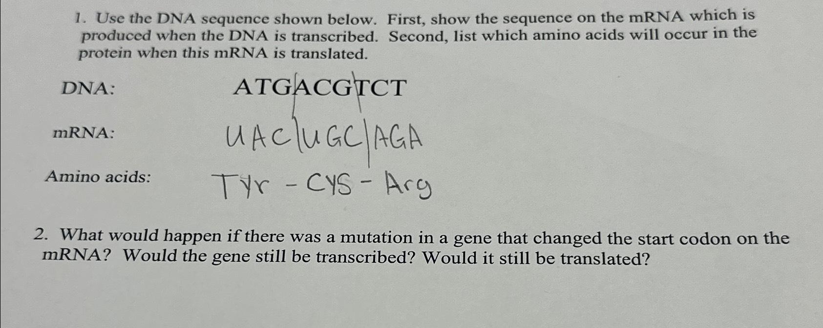Solved Use the DNA sequence shown below. First, show the | Chegg.com
