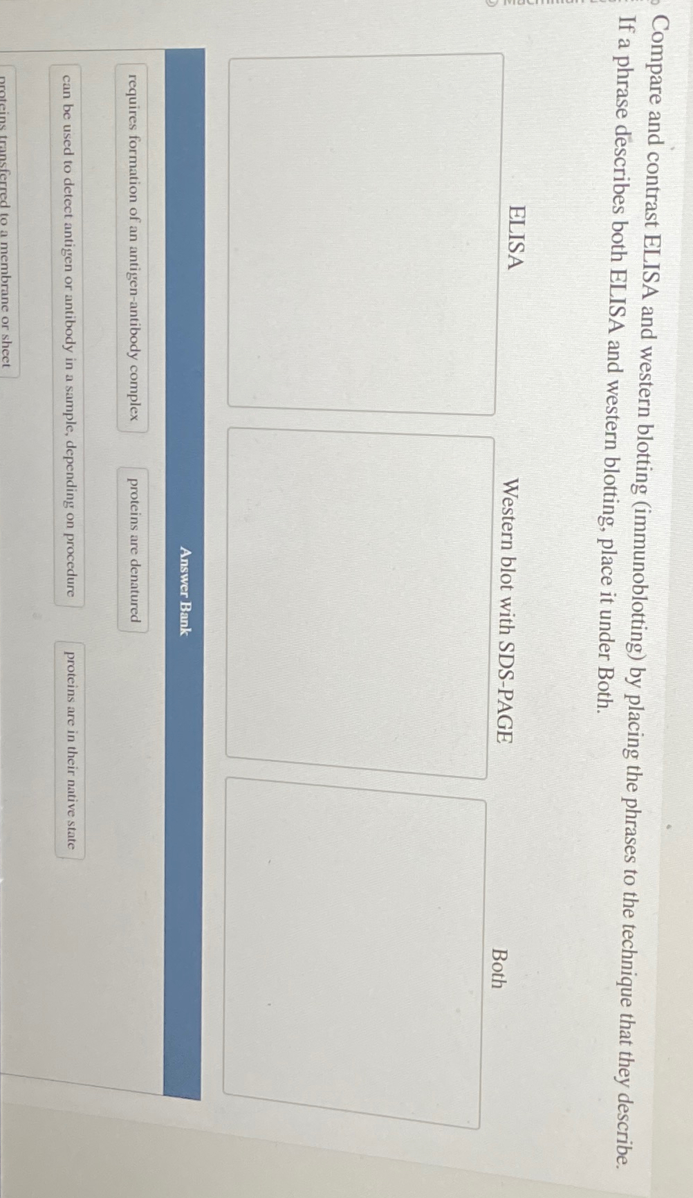 Solved Compare and contrast ELISA and western blotting | Chegg.com