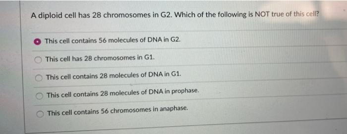 Solved A diploid cell has 28 chromosomes in G2. Which of the | Chegg.com