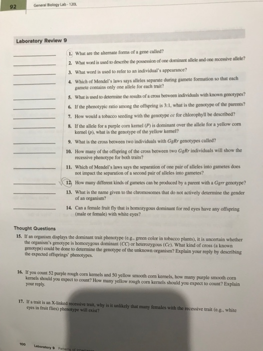 Solved General Biology Lab. 120L Laboratory Review 9 1. What | Chegg.com