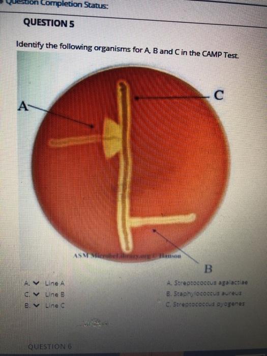 Solved Completion Status: QUESTIONS Identify the following | Chegg.com