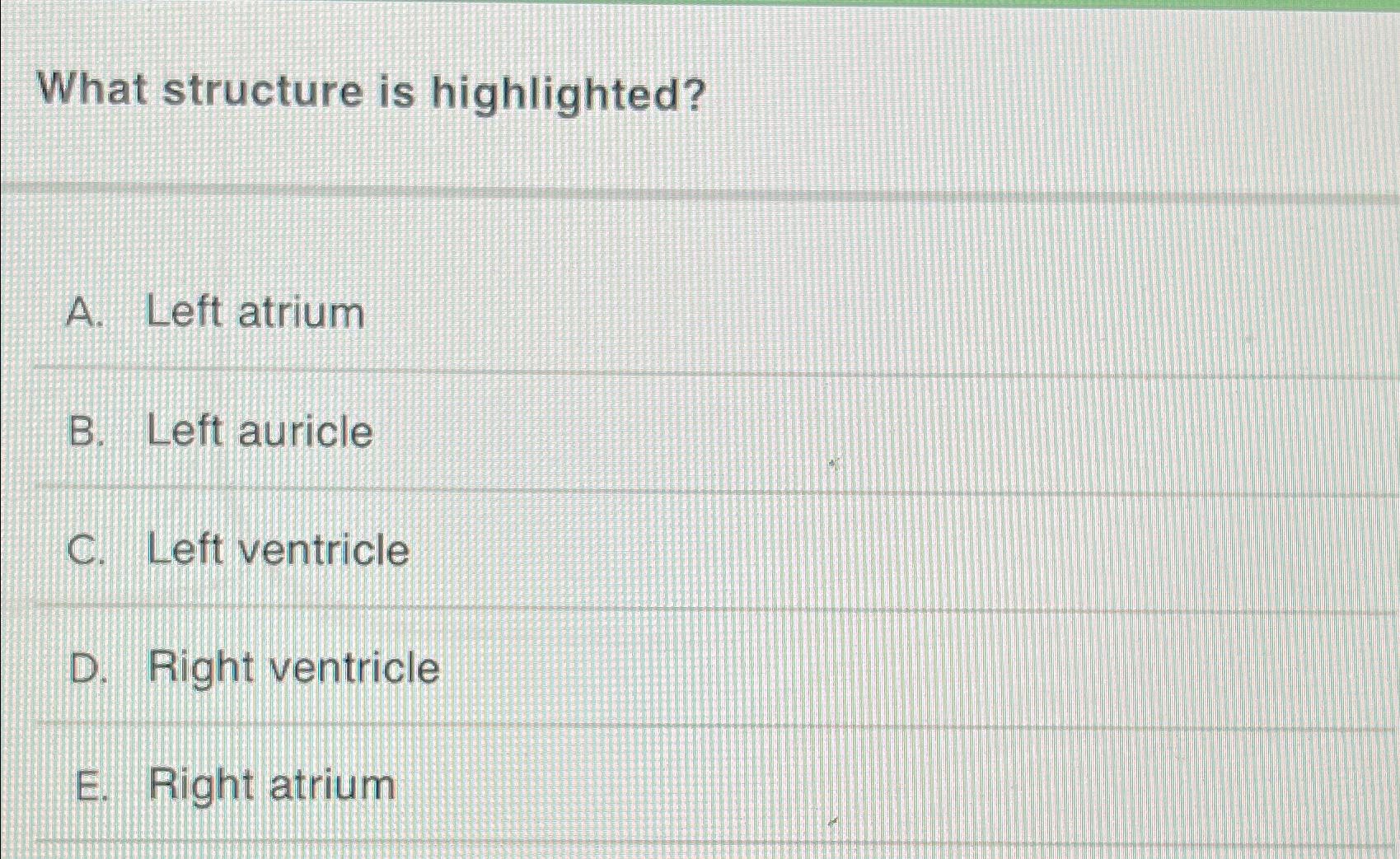 Solved What structure is highlighted?A. ﻿Left atriumB. ﻿Left | Chegg.com