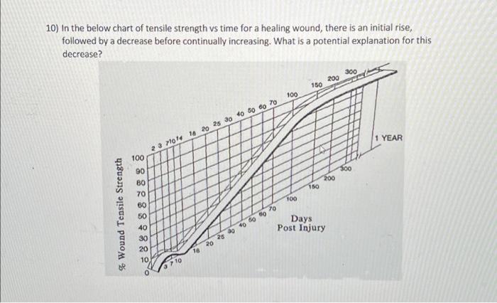 Solved 10) In the below chart of tensile strength vs time | Chegg.com