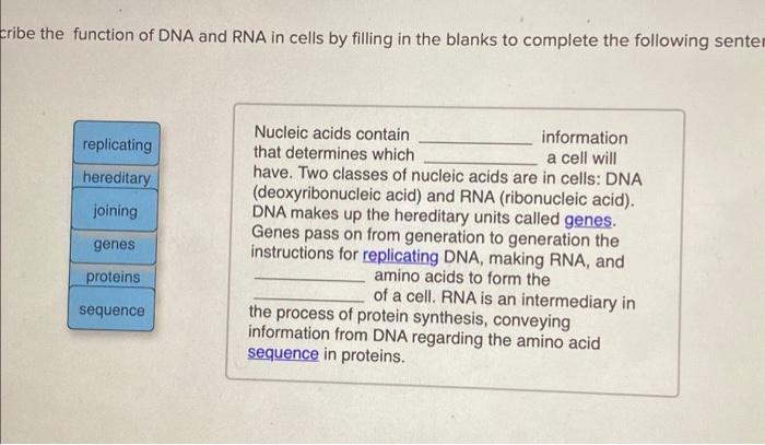 Solved cribe the function of DNA and RNA in cells by filling | Chegg.com