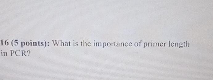 Solved 16 (5 ﻿points): What is the importance of primer | Chegg.com