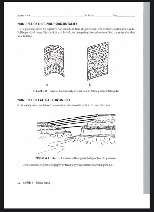 PRINCIPLE OF ORIGINAL HORIZONTALITY The original | Chegg.com