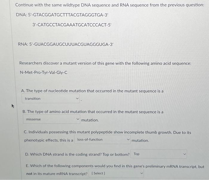 Solved ontinue with the same wildtype DNA sequence and RNA | Chegg.com