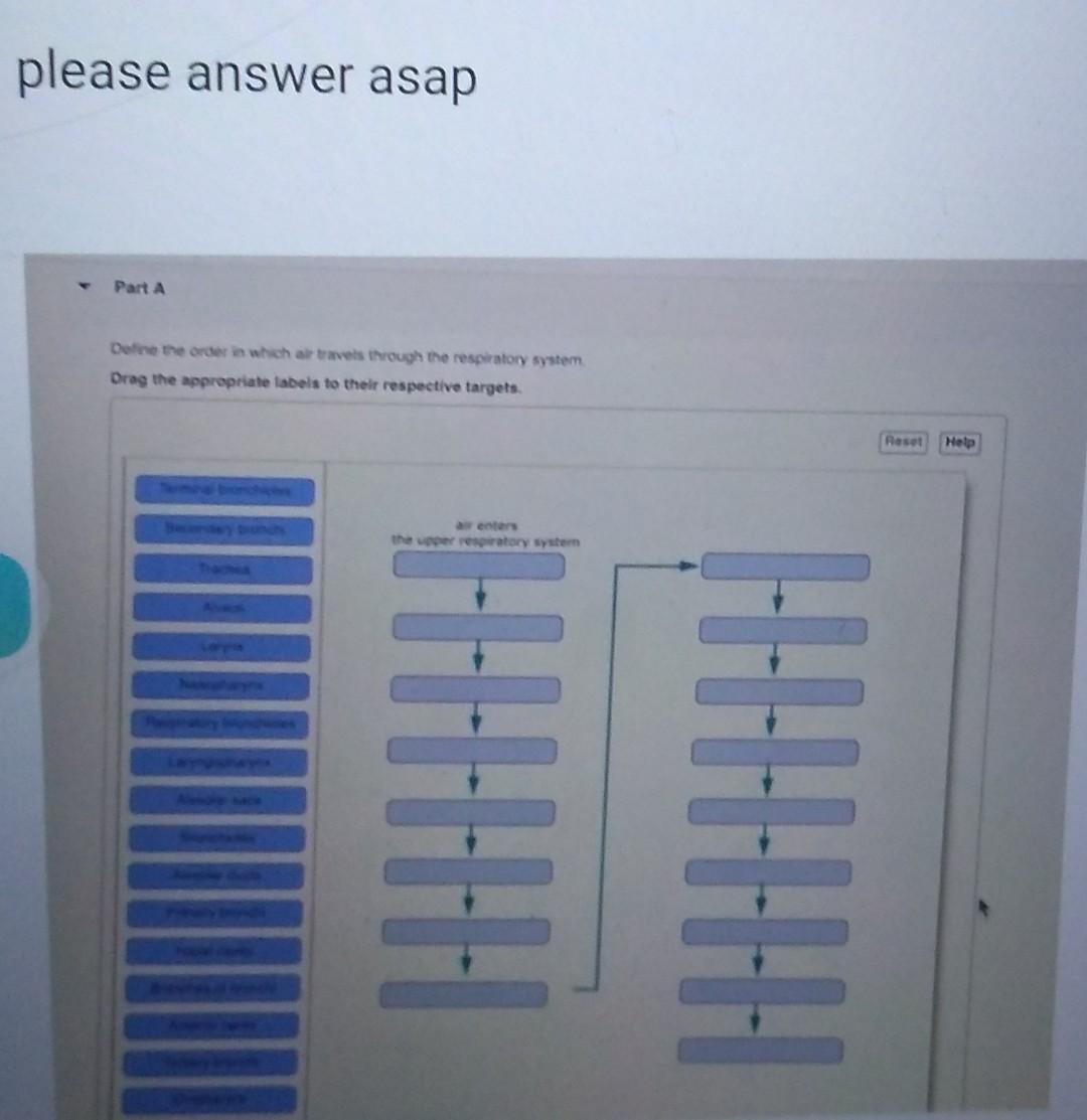 Solved please answer asap Drag the appropriate labels to | Chegg.com
