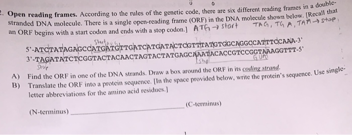 8 frames in a double- Open reading frames. According | Chegg.com