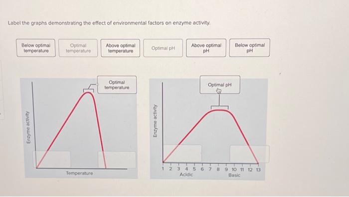 Label The Graphs Demonstrating The Effect Of