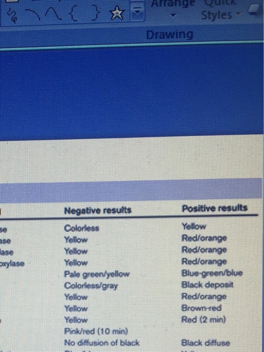 Exercise 8 Use Of The Api 20e System To Identify Gram