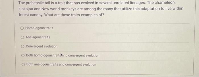 Solved The prehensile tail is a trait that has evolved in | Chegg.com
