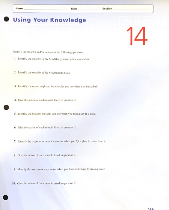 Solved Name Name Date Section •Using Your Knowledge Identify | Chegg.com