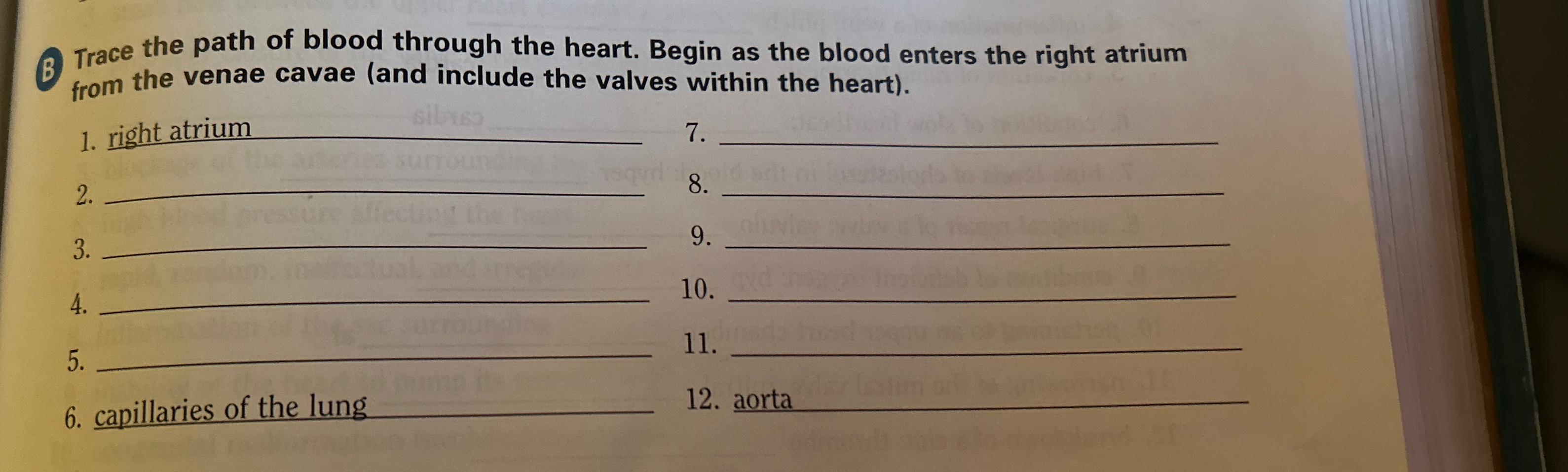 Solved B Trace the path of blood through the heart. Begin as | Chegg.com