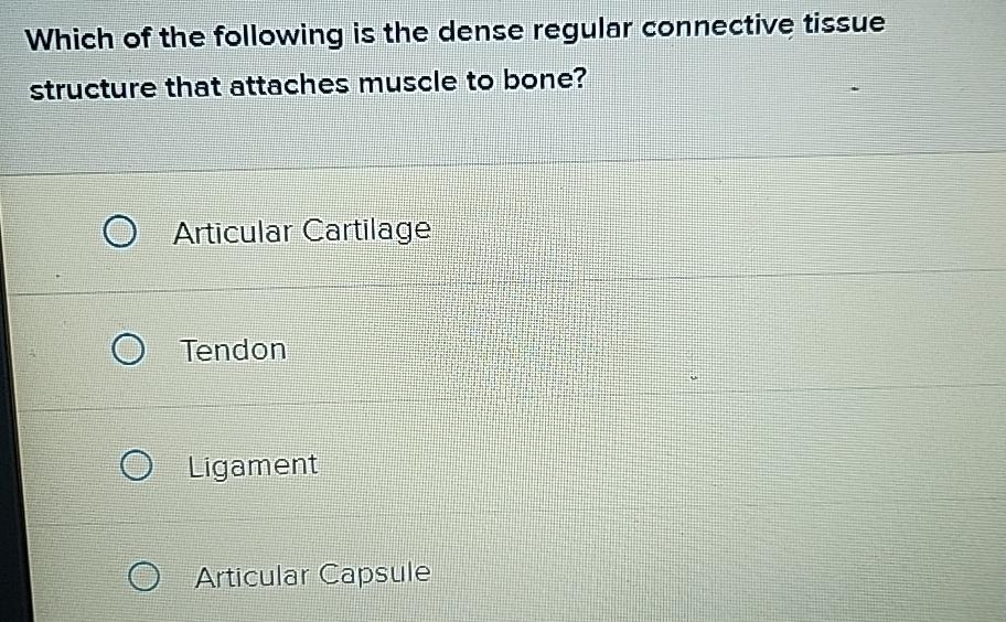 Solved Which of the following is the dense regular | Chegg.com