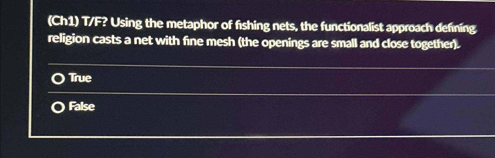 Solved (Ch1) ﻿T/F? ﻿Using the metaphor of fishing nets, the | Chegg.com