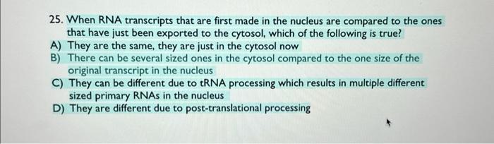 Solved 25. When RNA transcripts that are first made in the | Chegg.com