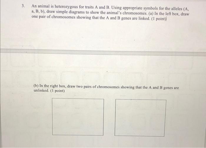 Solved 3. An animal is heterozygous for traits A and B. | Chegg.com