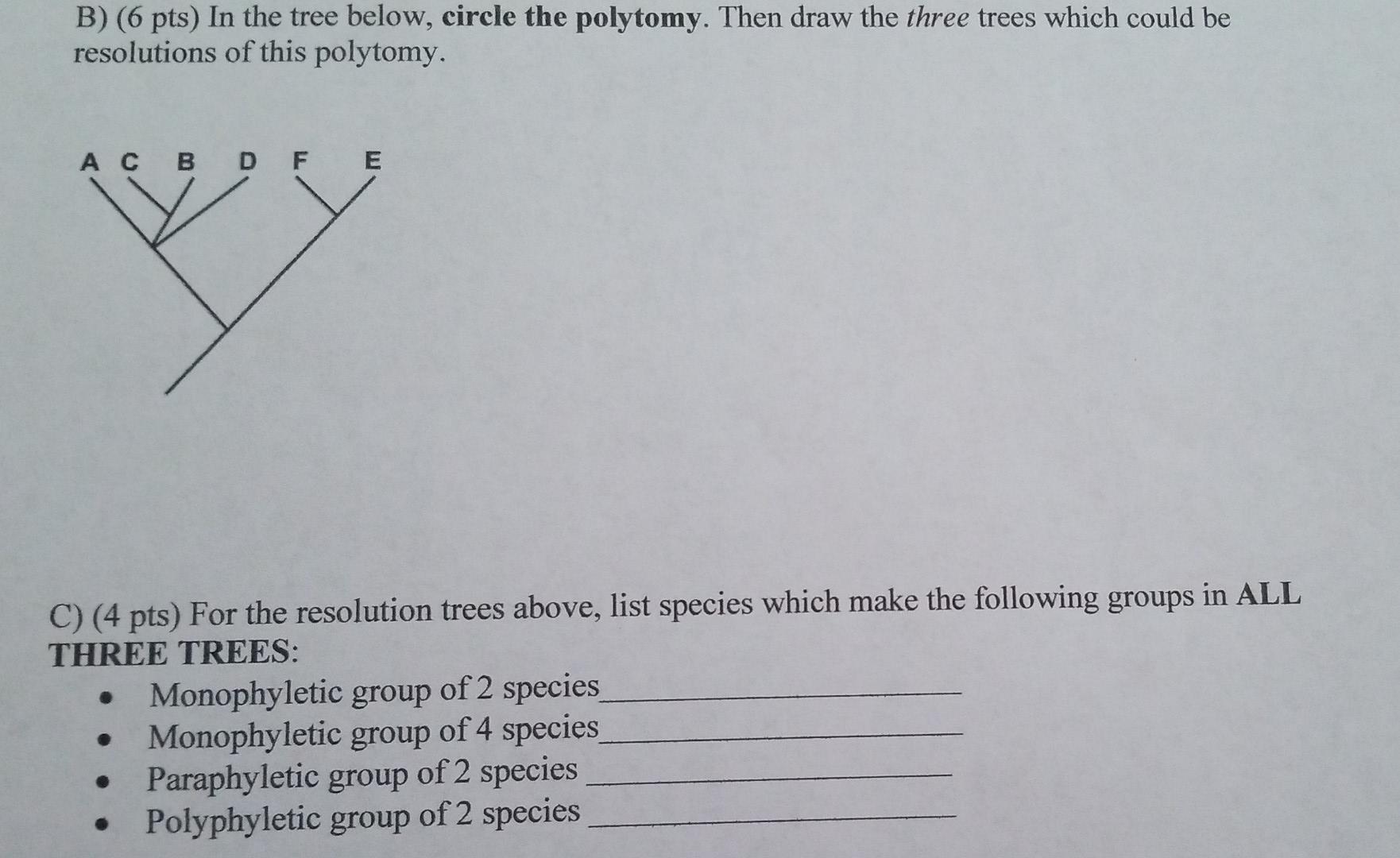 Solved B) (6 pts) In the tree below, circle the polytomy. | Chegg.com