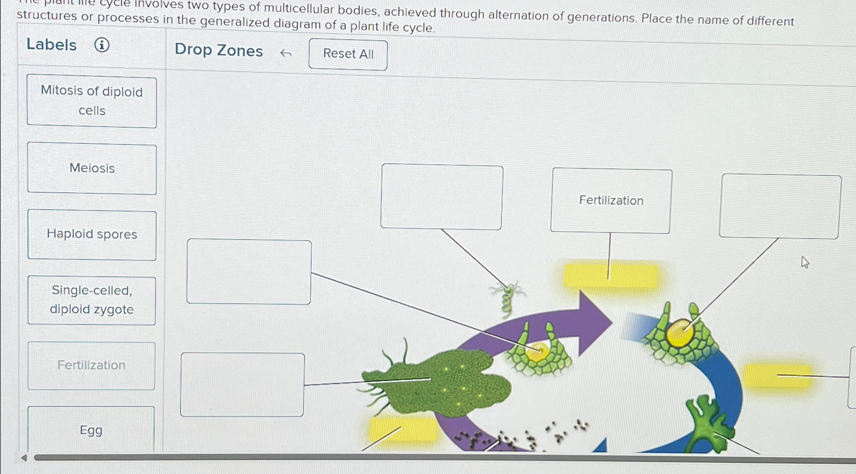 Solved structures of pre involves two types of multicellular | Chegg.com