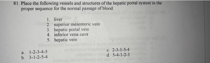 Solved 81. Place the following vessels and structures of the | Chegg.com