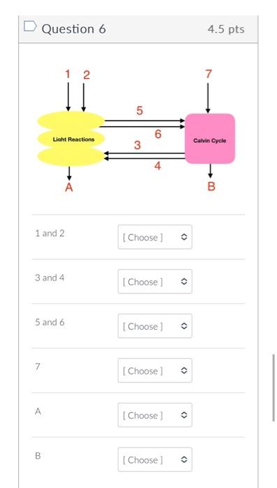 Solved Question 6 4.5pts | Chegg.com