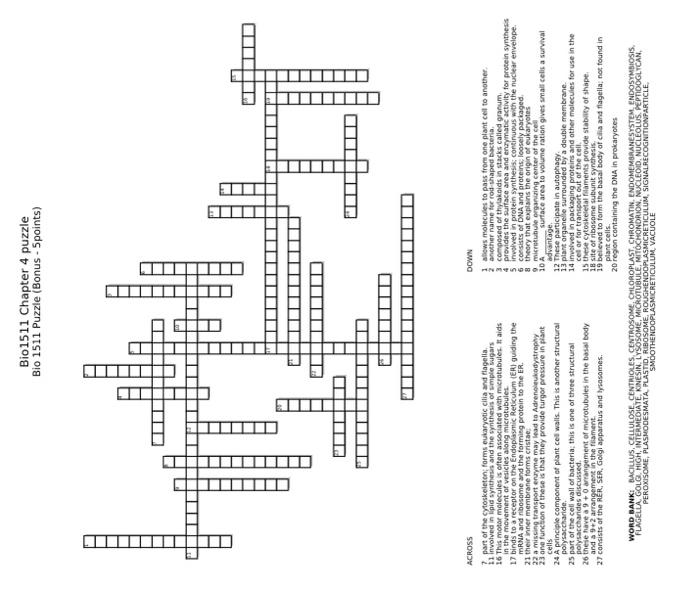 Solved Bio1511 Chapter 4 puzzle Bio 1511 Puzzle (Bonus - | Chegg.com