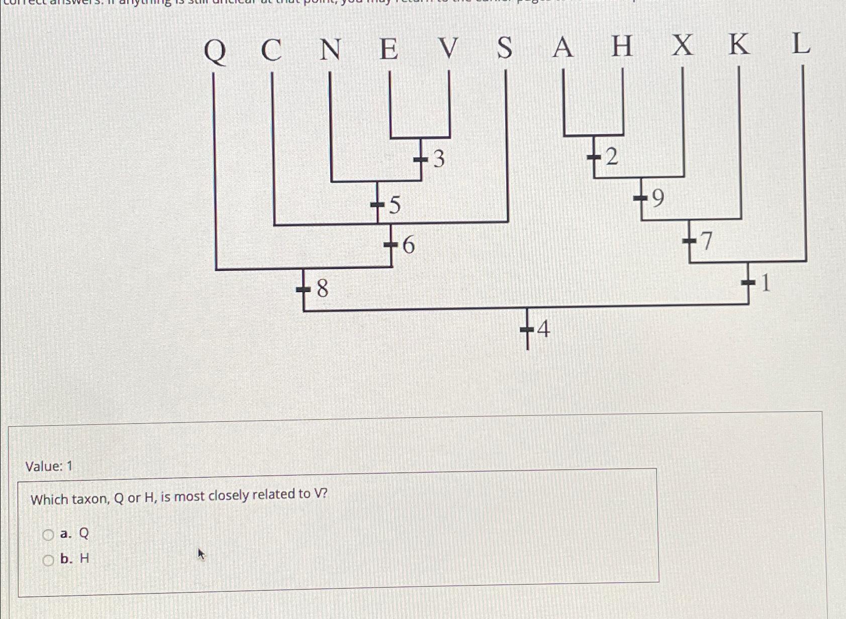 Solved Value: 1Which taxon, Q ﻿or H, ﻿is most closely | Chegg.com