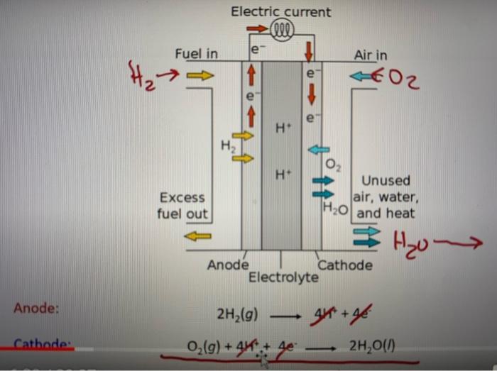 Solved Anode: Cathode: H₂ Fuel in Excess fuel out Electric | Chegg.com