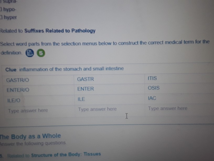 Solved hypo- hyper Related to Suffixes Related to Pathology | Chegg.com Solved hypo- hyper Related to Suffixes Related to Pathology | Chegg.com