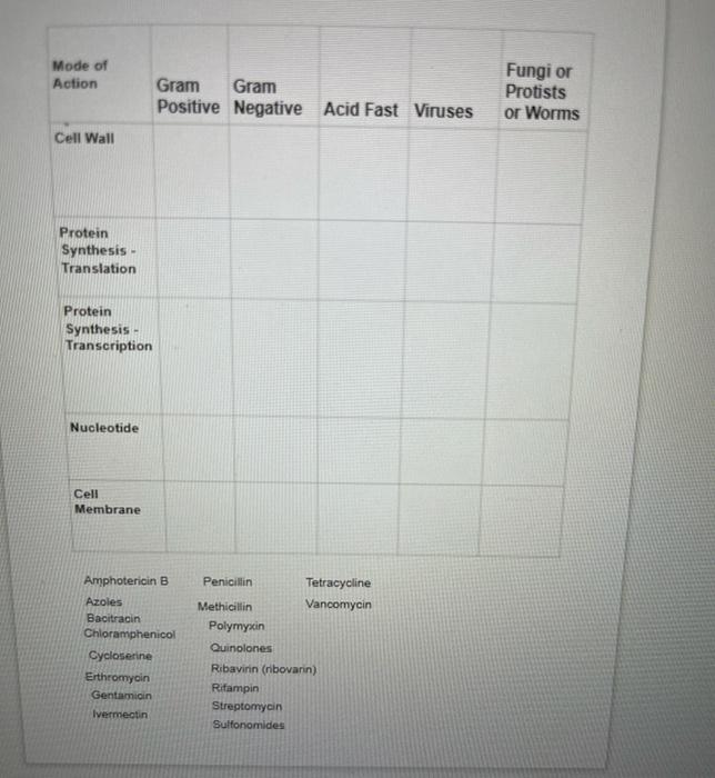 Solved Mode of Action Gram Gram Positive Negative Acid Fast | Chegg.com