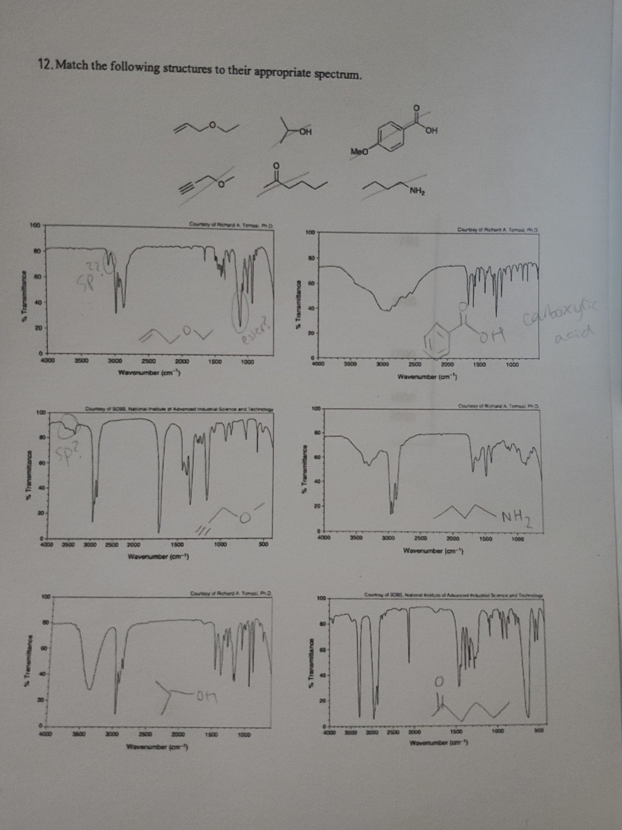 Solved Match the following structures to their appropriate | Chegg.com