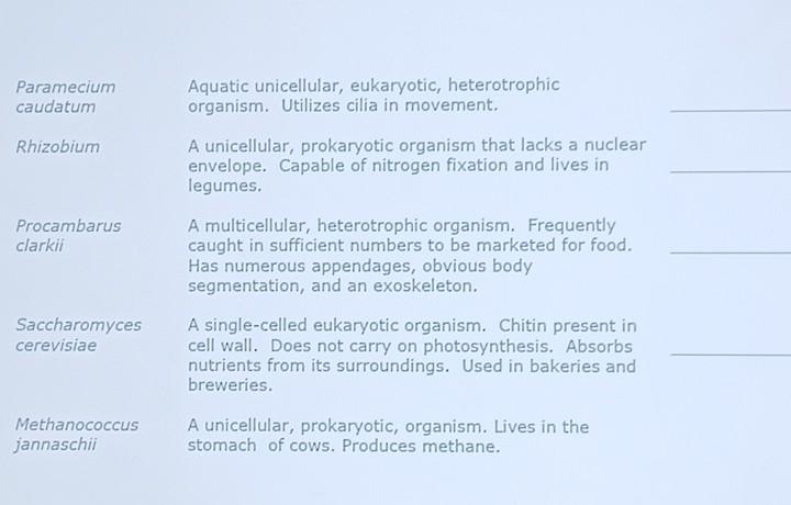 Solved Exercise 7.1: Complete this table: Organism | Chegg.com