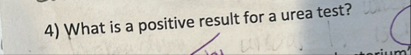 Solved What is a positive result for a urea test? | Chegg.com